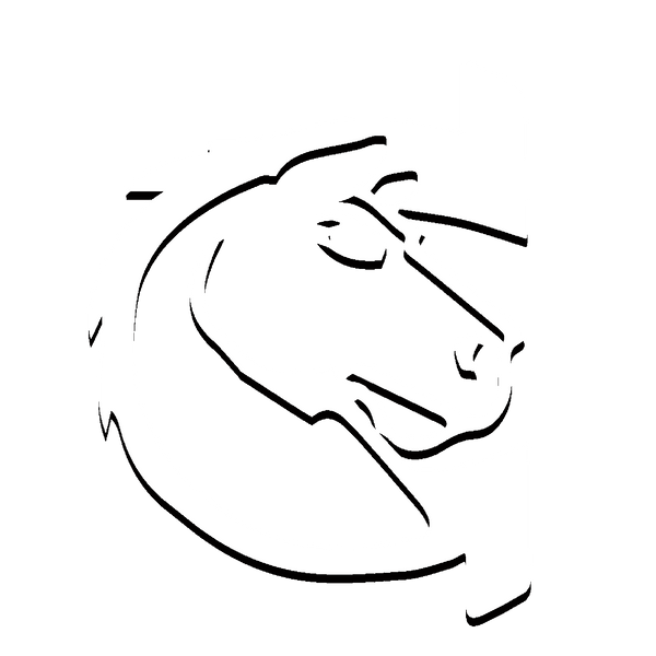 Blogs – M-Royal Saddles