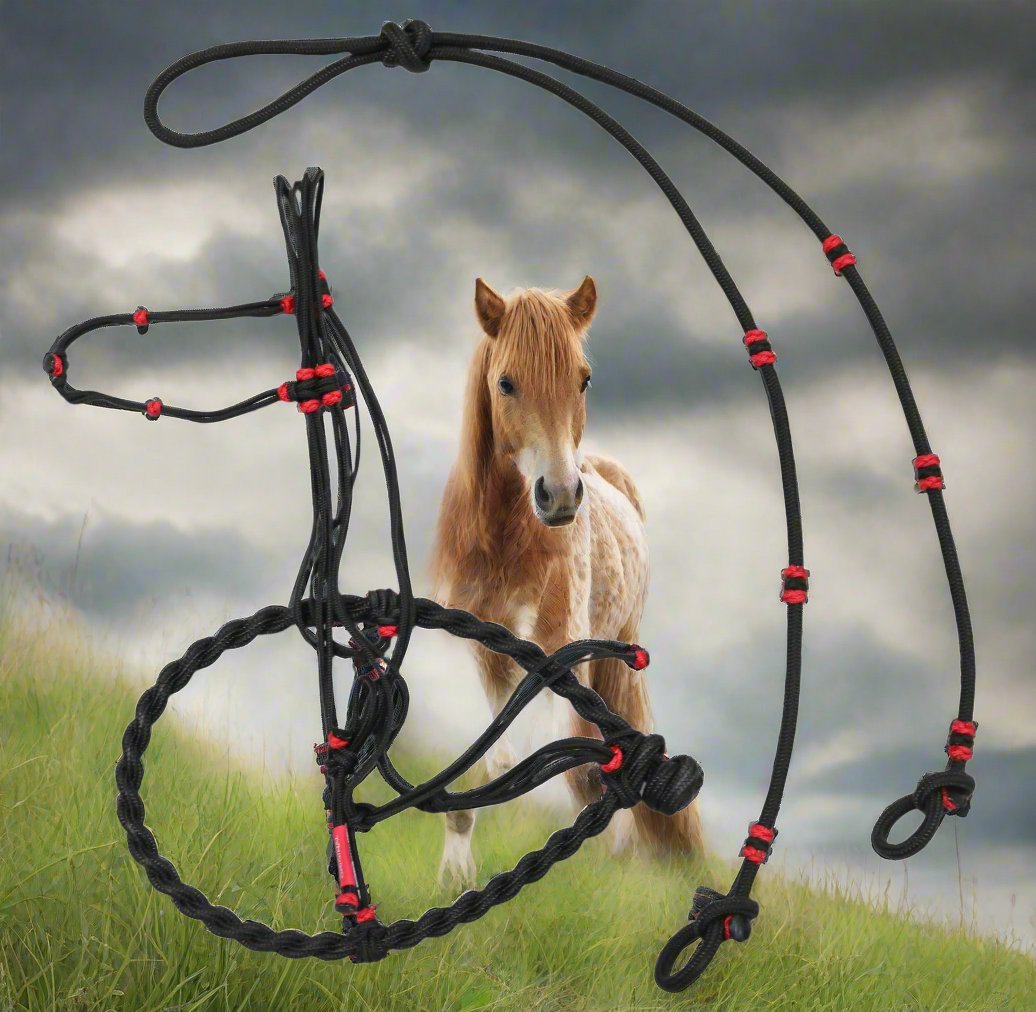 Charro Bosal - M-Royal Saddles