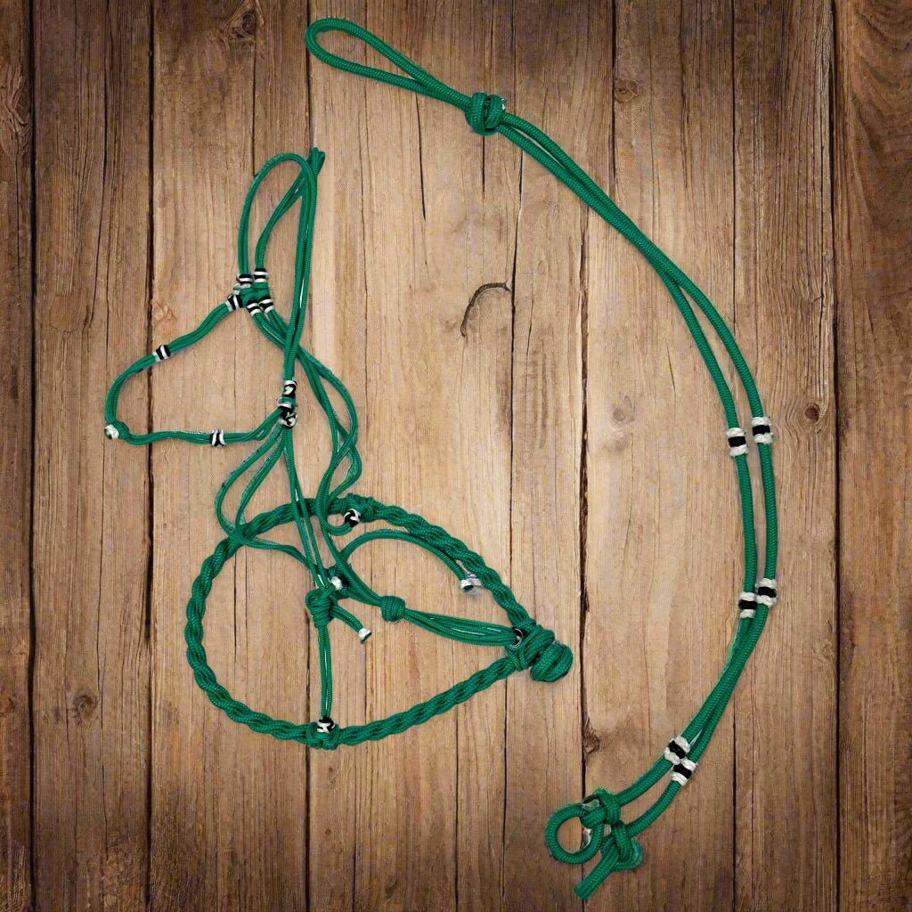 Charros Original Green Halter Bosal/Rienda Set - M-Royal Saddles