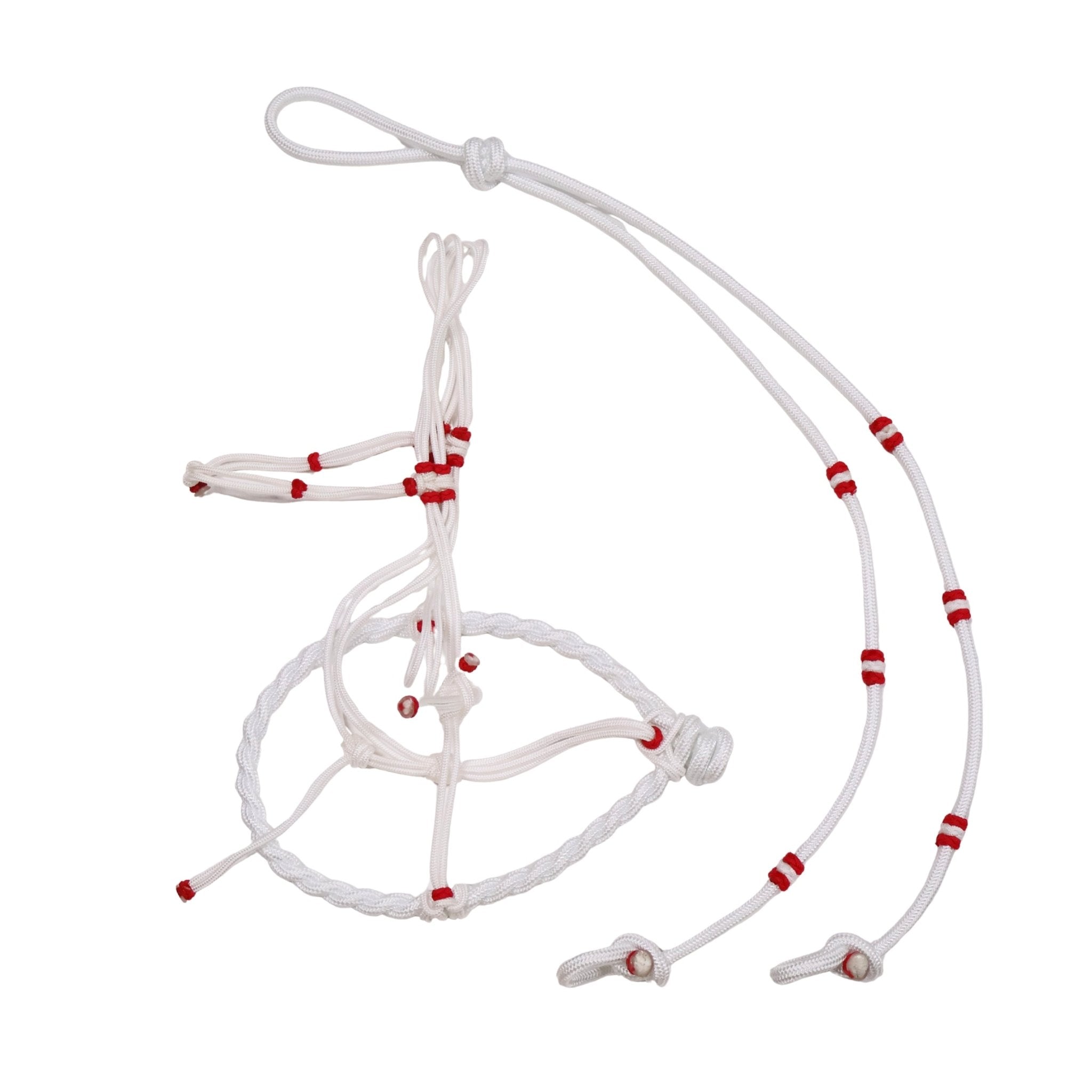 Charros White Halter Horse Bosal/Rienda Set - M-Royal Saddles
