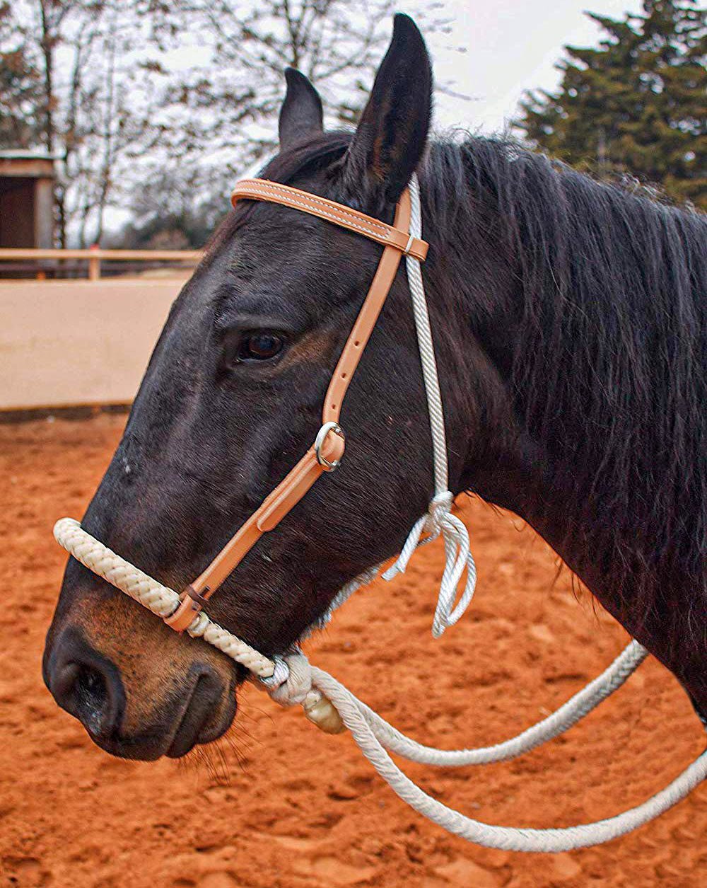 USA - M-Royal Saddles